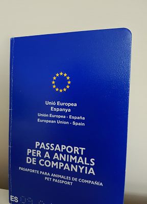 Documentación para viajar con perro: pasaporte del perro